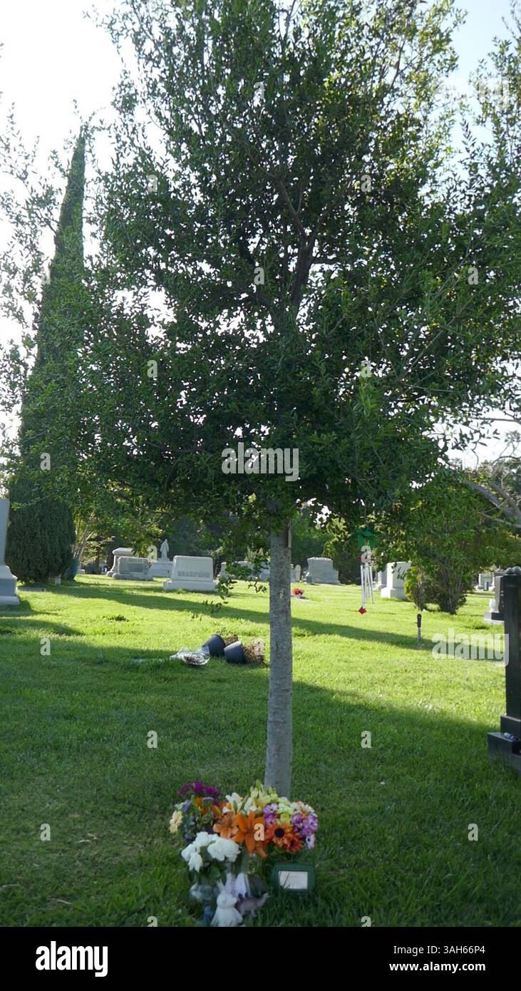 Los Angeles, California, USA 7th April 2025 Comedian Trevor Moore Grave ...