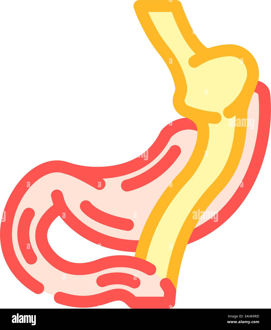 gastric bypass gastroenterologist color icon vector illustration Stock ...