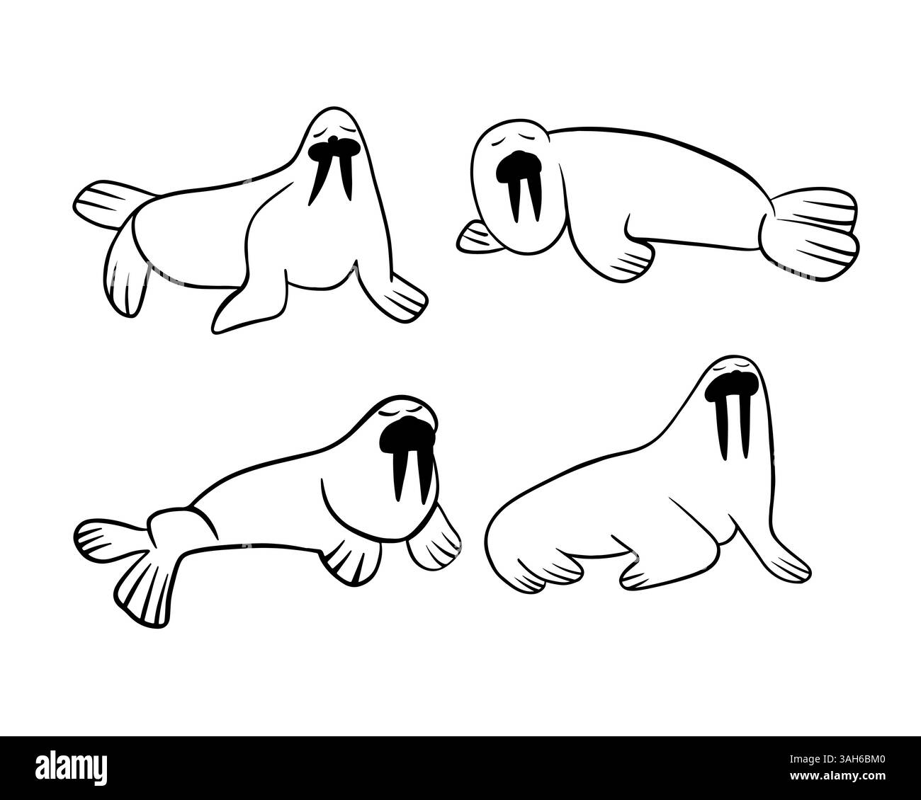 Vector isolated illustration of a set of cartoon walruses on a white ...