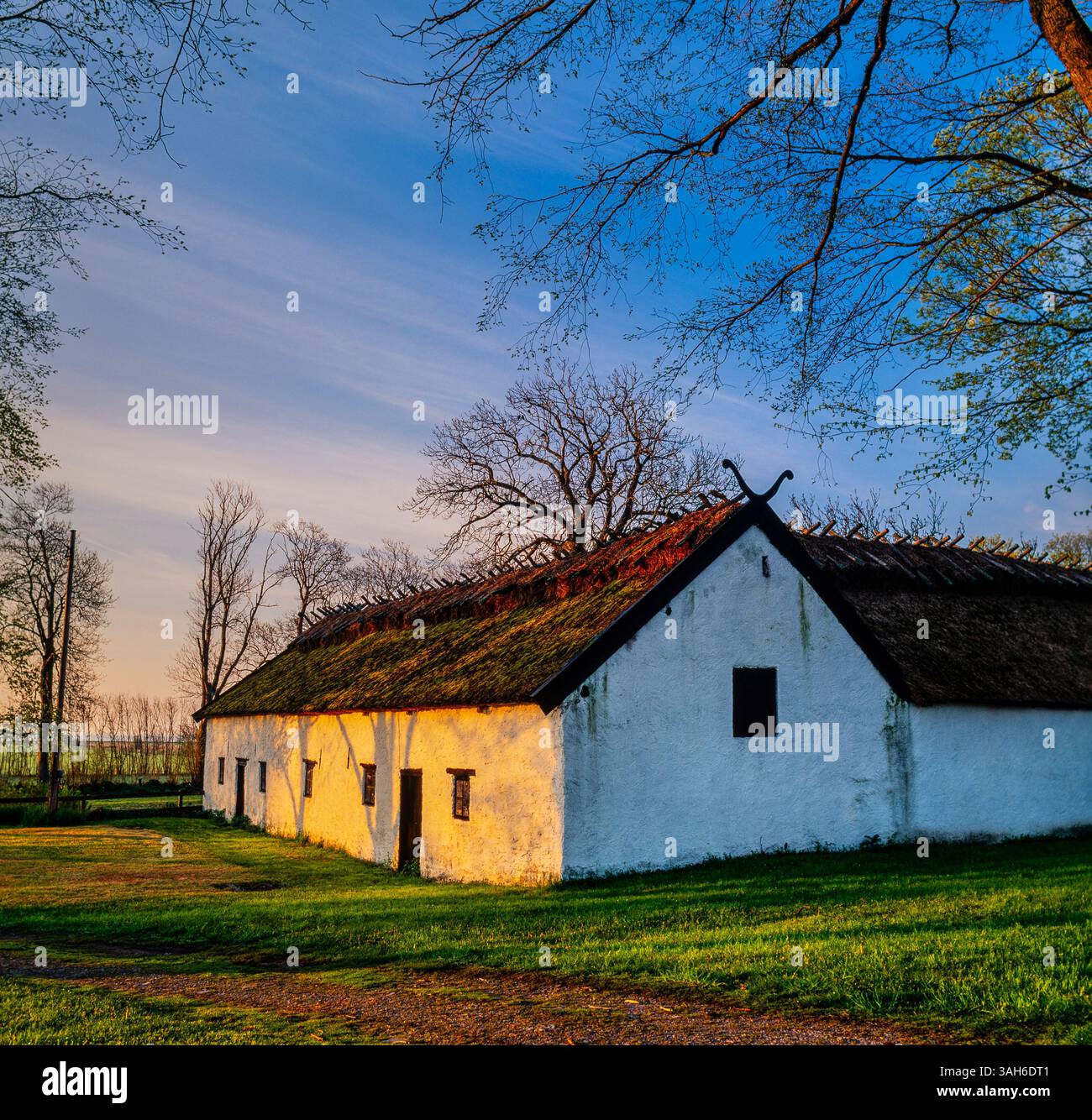 Sweden turf hi-res stock photography and images - Alamy