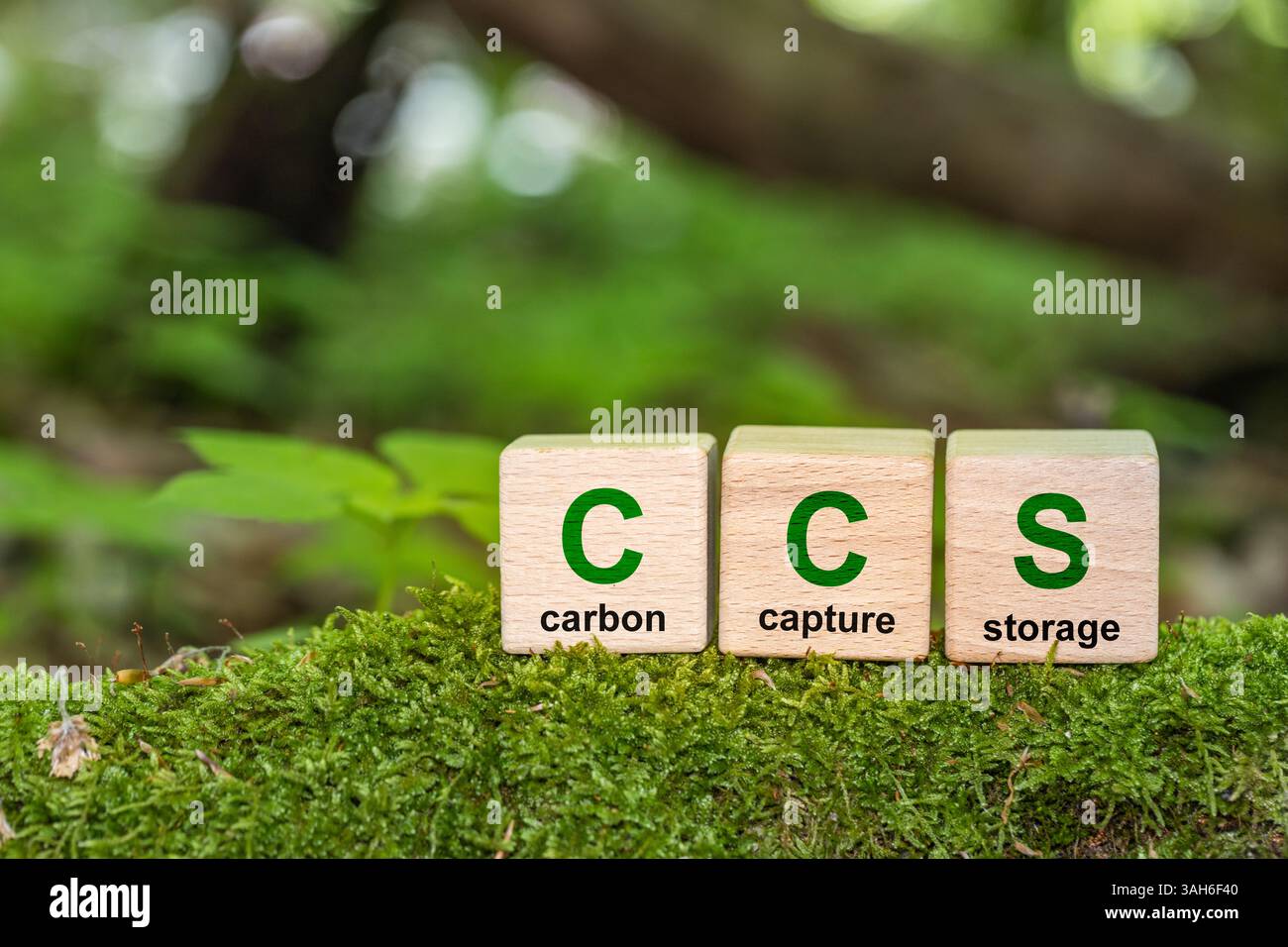 Symbol CCS for Carbon Capture Storage words CCS on a wood cube on the ...