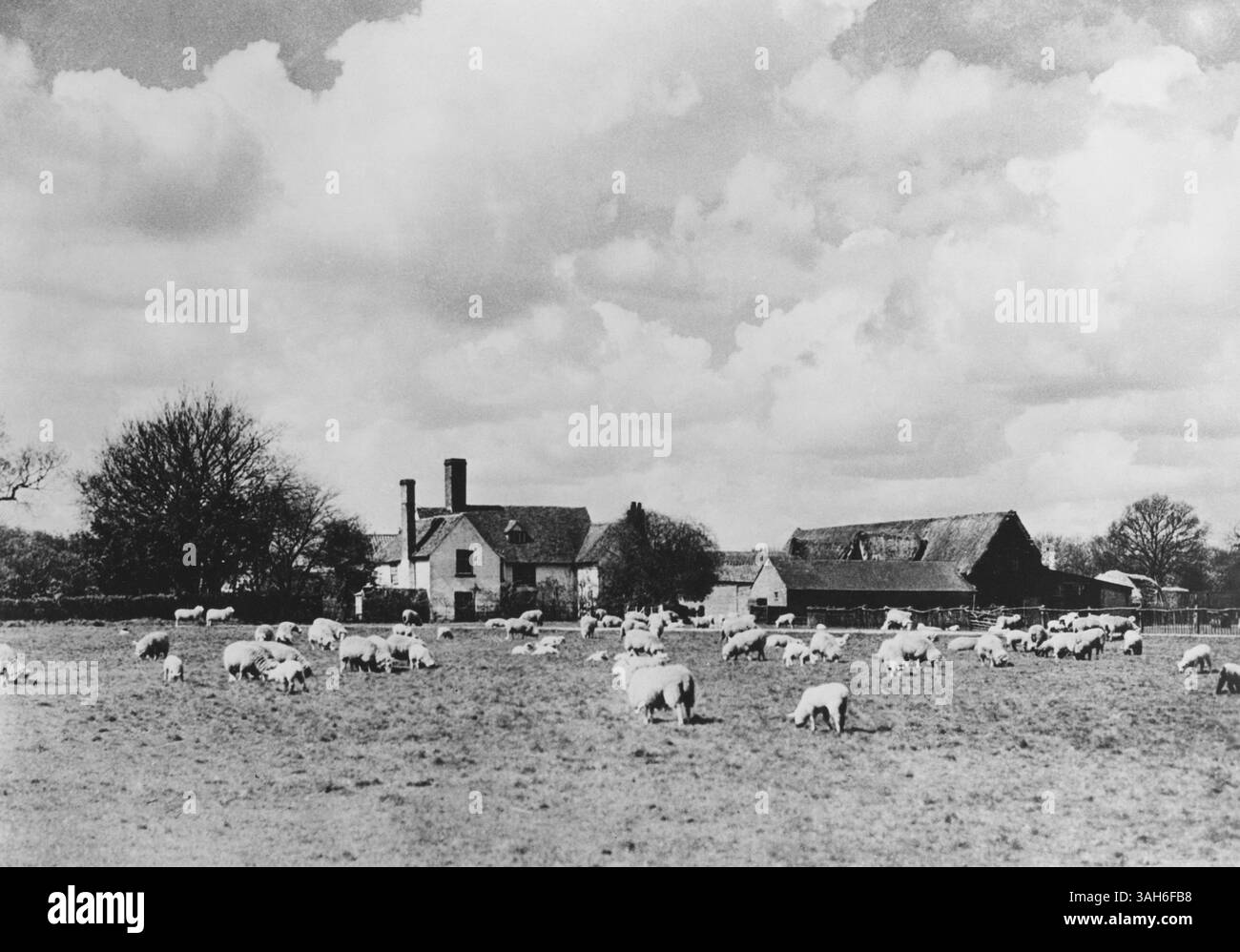 Farm uk 1930s hi-res stock photography and images - Alamy