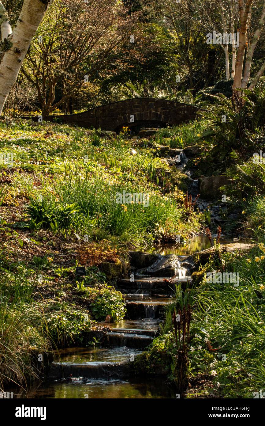 RHS Garden Rosemoor, botanical garden in North Devon, England.Alluring ...