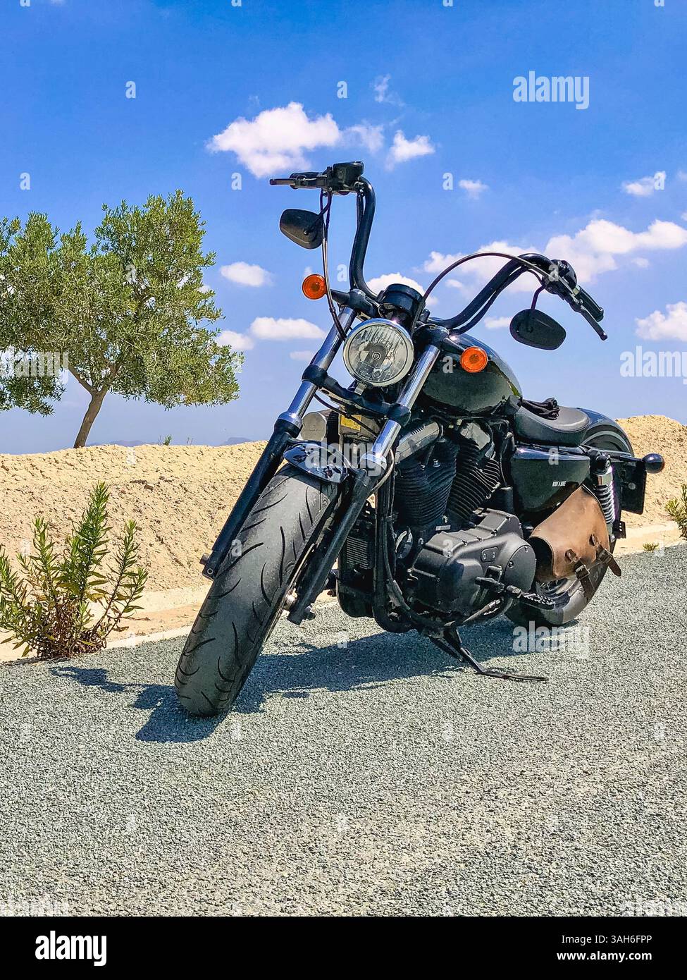 Harley Davidson 48 Sportster motorcycle Stock Photo - Alamy