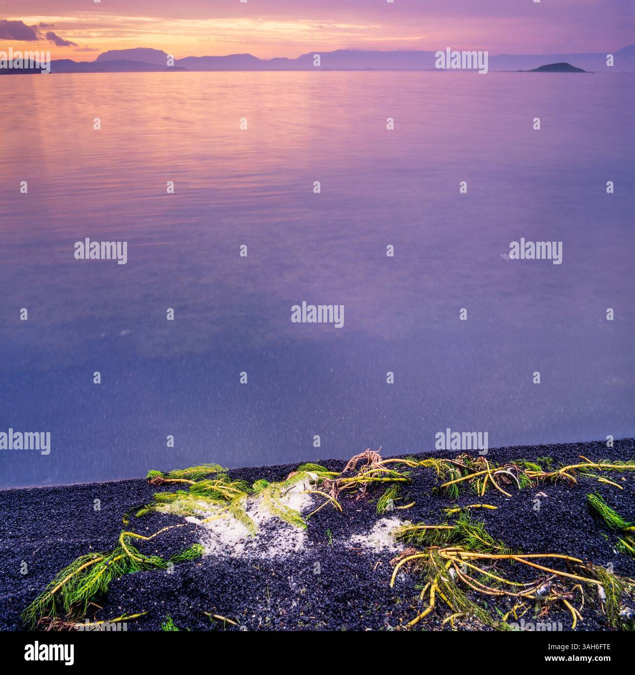 Shore myvatn iceland hi-res stock photography and images - Alamy