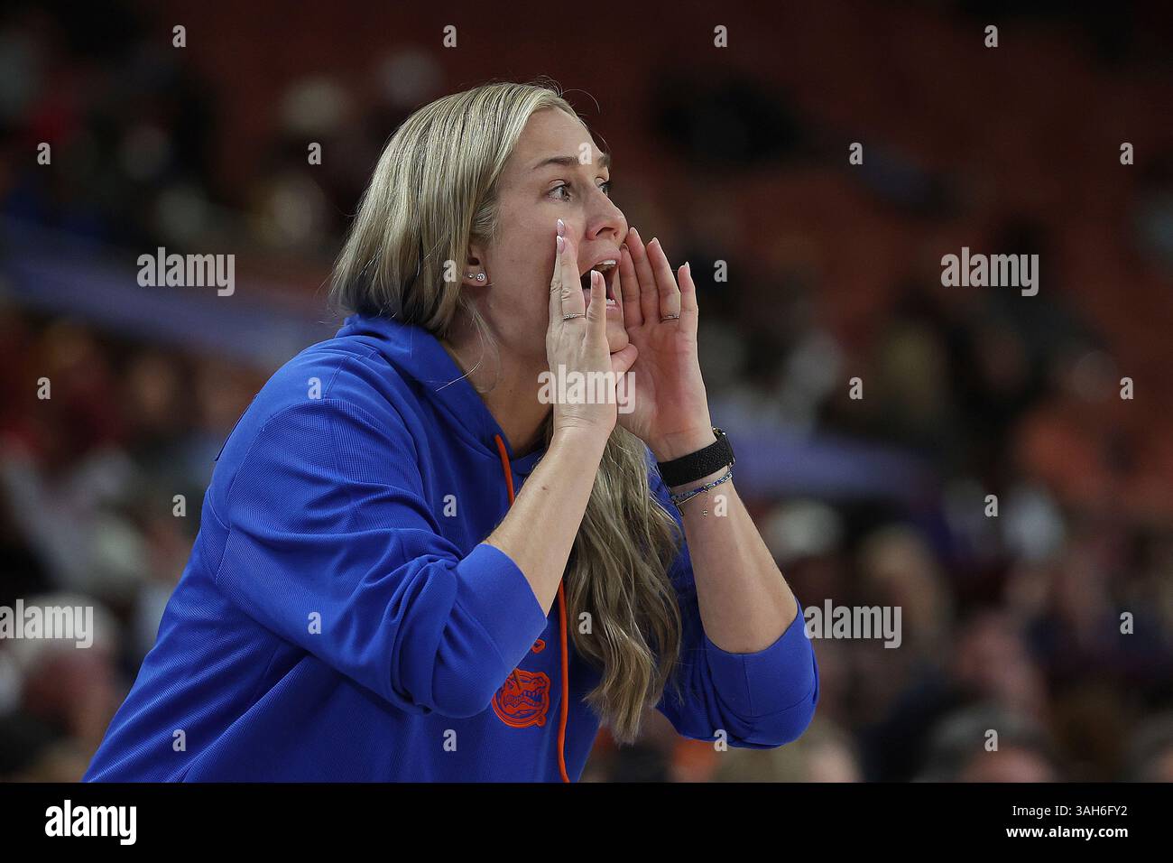 GREENVILLE, SC - MARCH 05: Florida Gators head coach Kelly Rae Finley ...