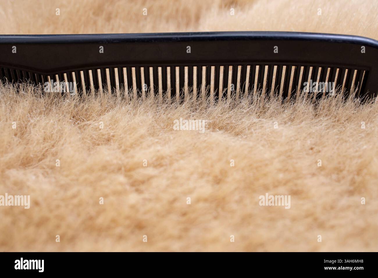 Animal skin wool or hair with a plastic black comb, grooming close up ...