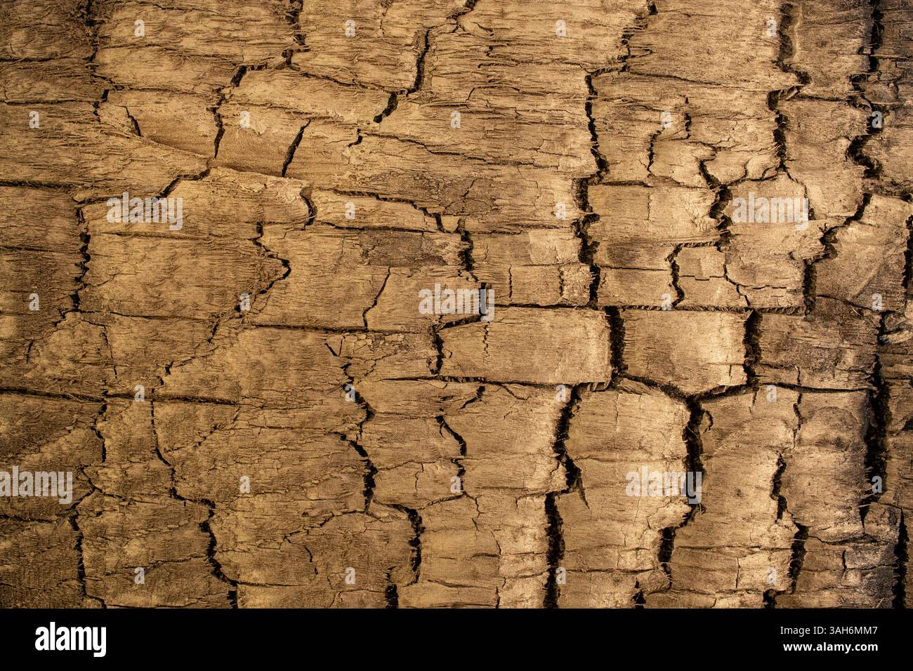 Golden scorched texture surface, abstract minimal backdrop Stock Photo ...