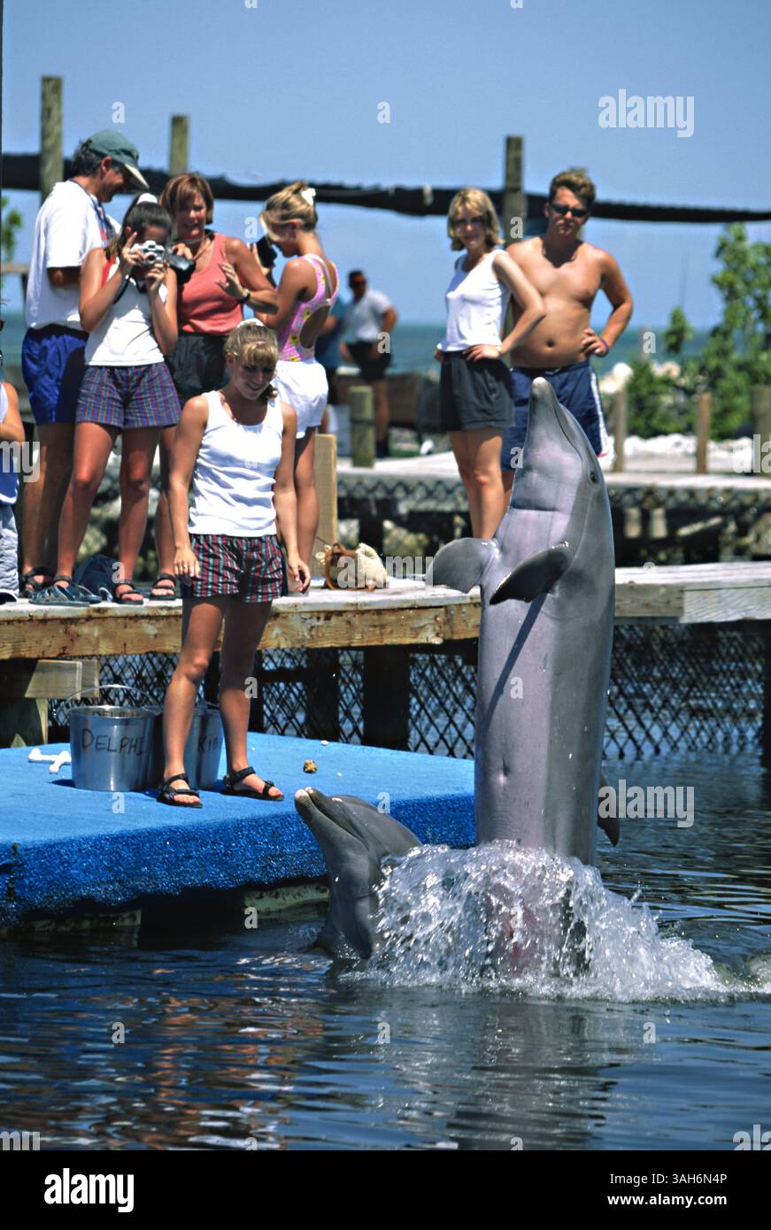 June 27, 1996 - Marathon Key, FL, United States of America - Tourists ...