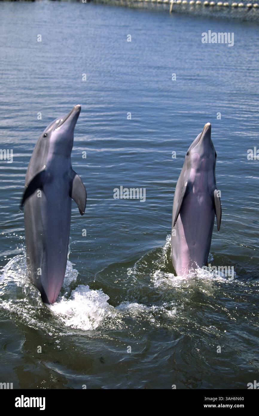 June 27, 1996 - Marathon Key, FL, United States of America - Bottle ...