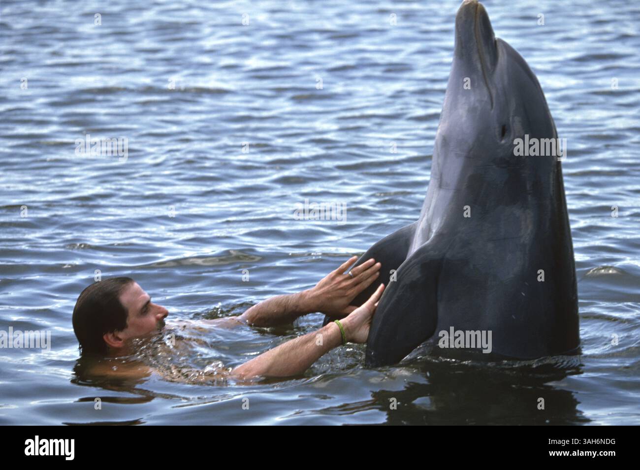 June 27, 1996 - Marathon Key, FL, United States of America - A tourist ...