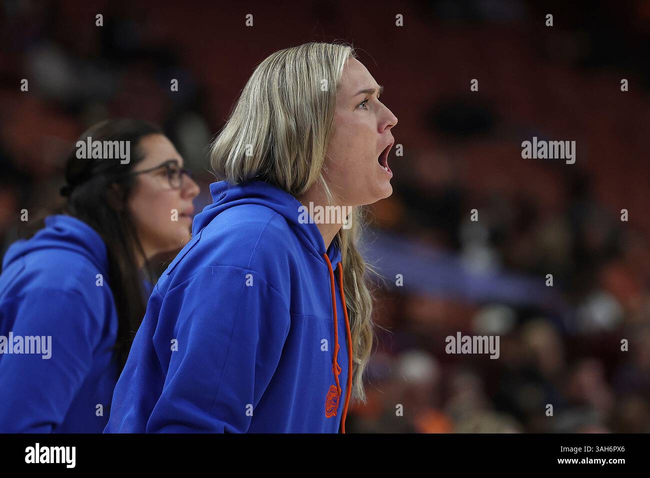 GREENVILLE, SC - MARCH 05: Florida Gators head coach Kelly Rae Finley ...