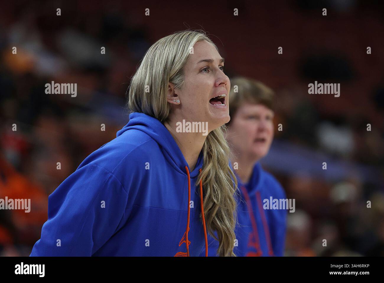 GREENVILLE, SC - MARCH 05: Florida Gators head coach Kelly Rae Finley ...