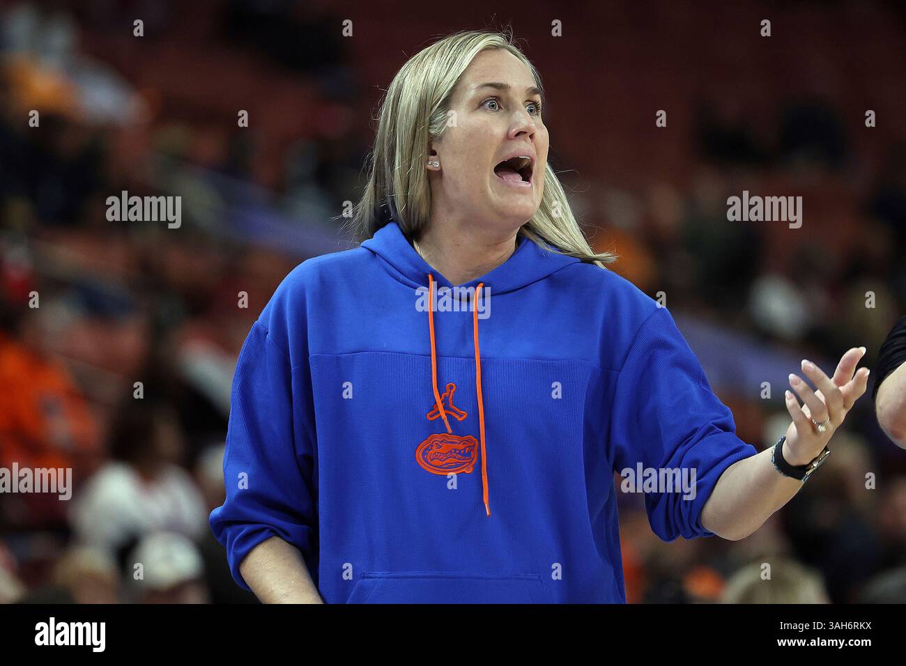 GREENVILLE, SC - MARCH 05: Florida Gators head coach Kelly Rae Finley ...