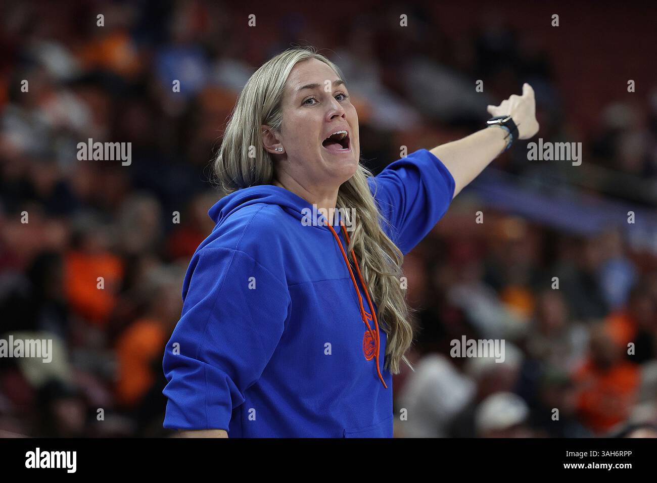 GREENVILLE, SC - MARCH 05: Florida Gators head coach Kelly Rae Finley ...