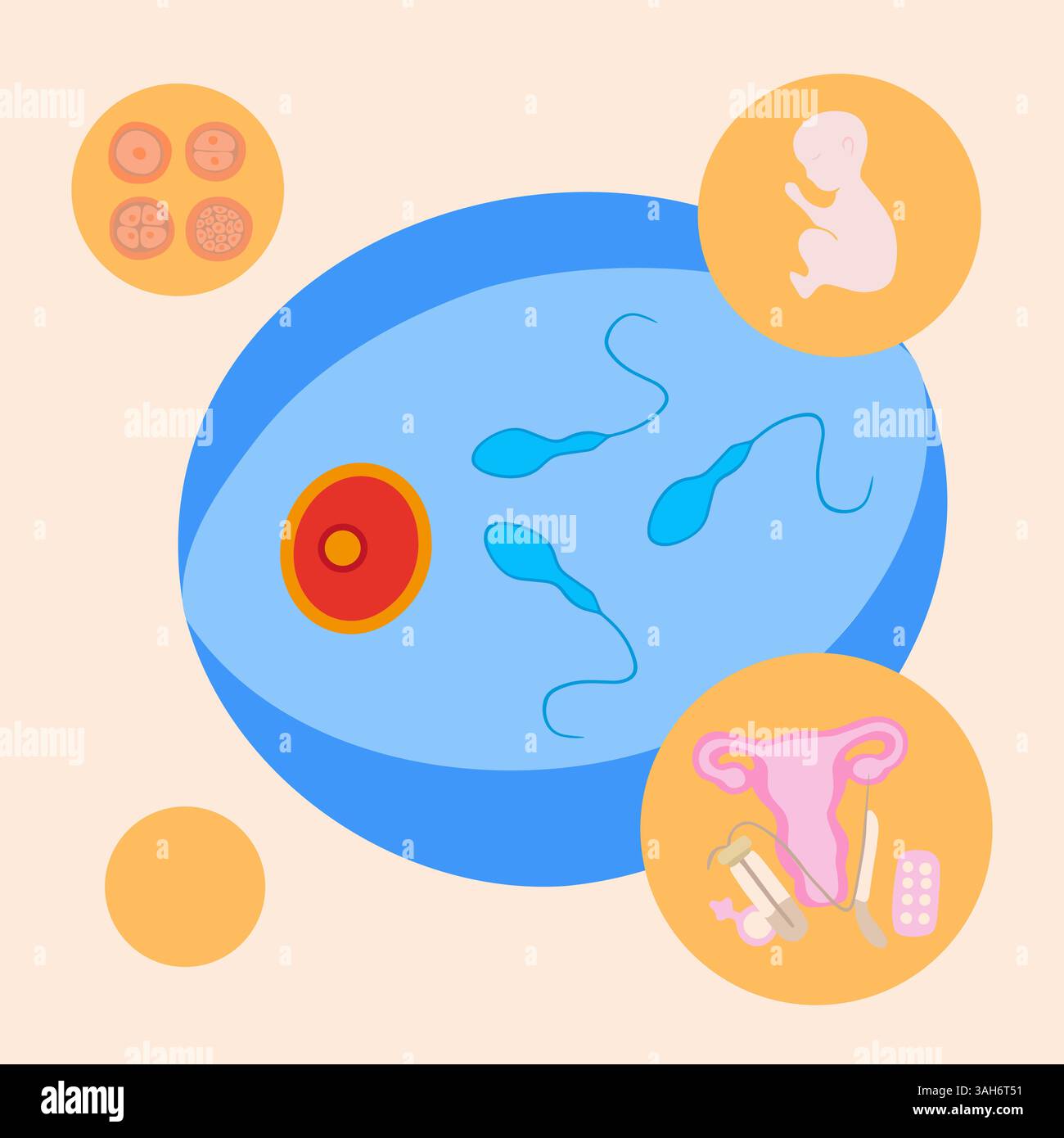 Artificial insemination. In vitro fertilization. Egg freezing. Sperm donation. Egg donation ...