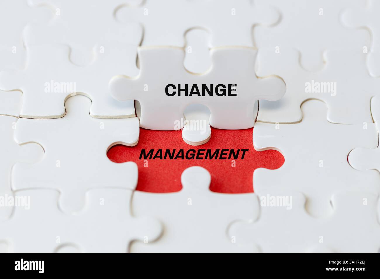 Change management of the sign. White puzzle pieces reveal change ...