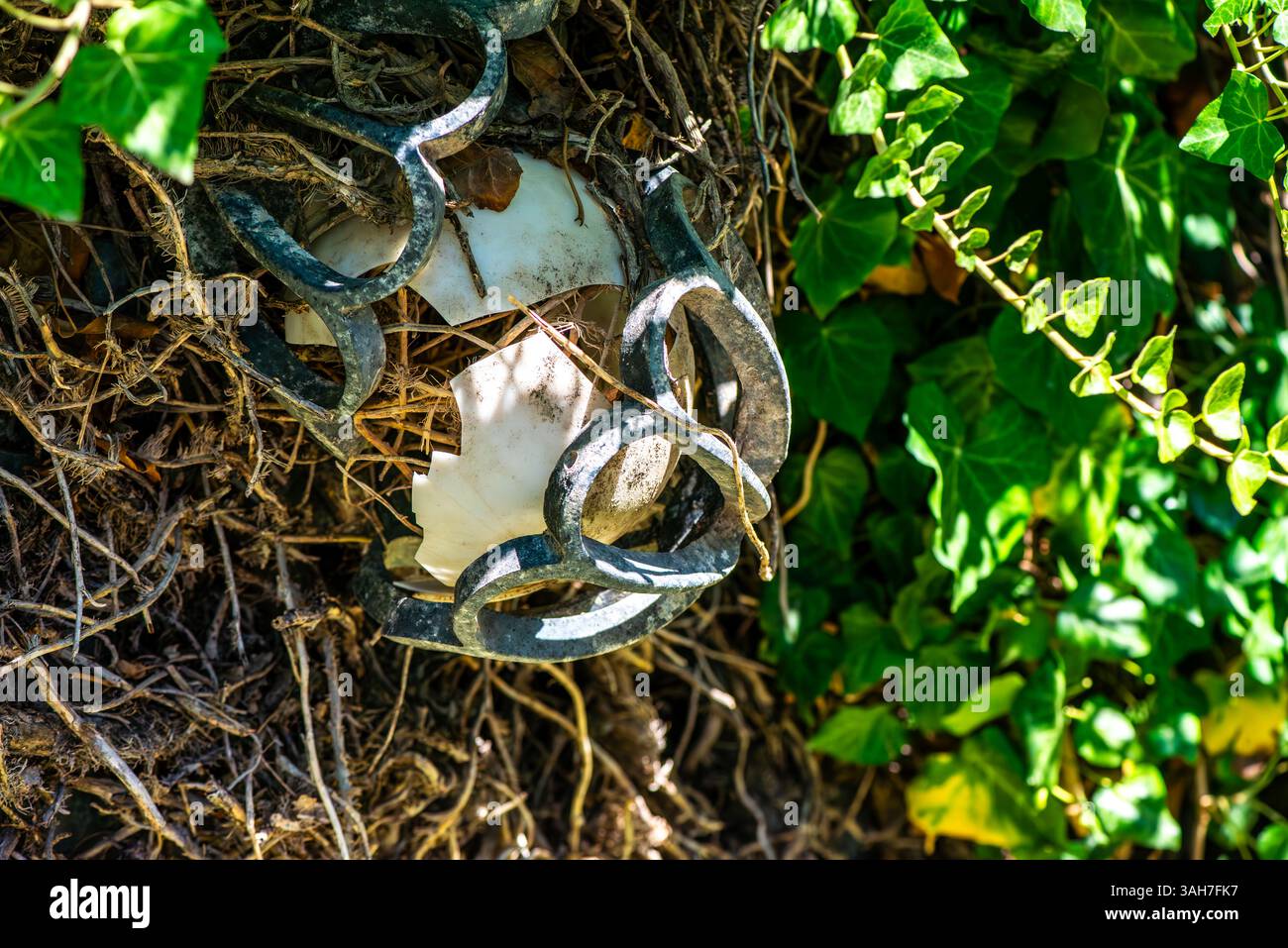A moody and atmospheric photo showing a shattered night light nestled ...