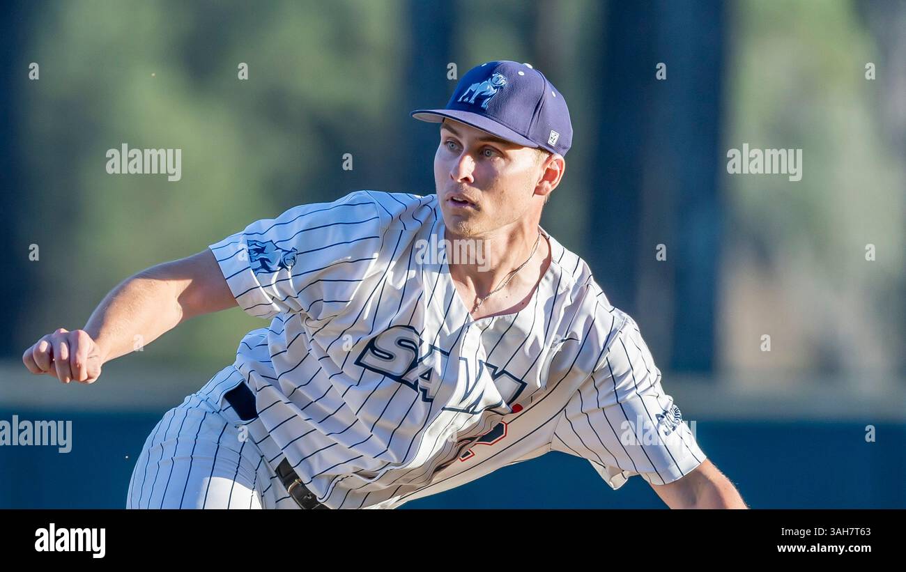 Samford pitcher Brooks Rice (22) during an NCAA baseball game on ...