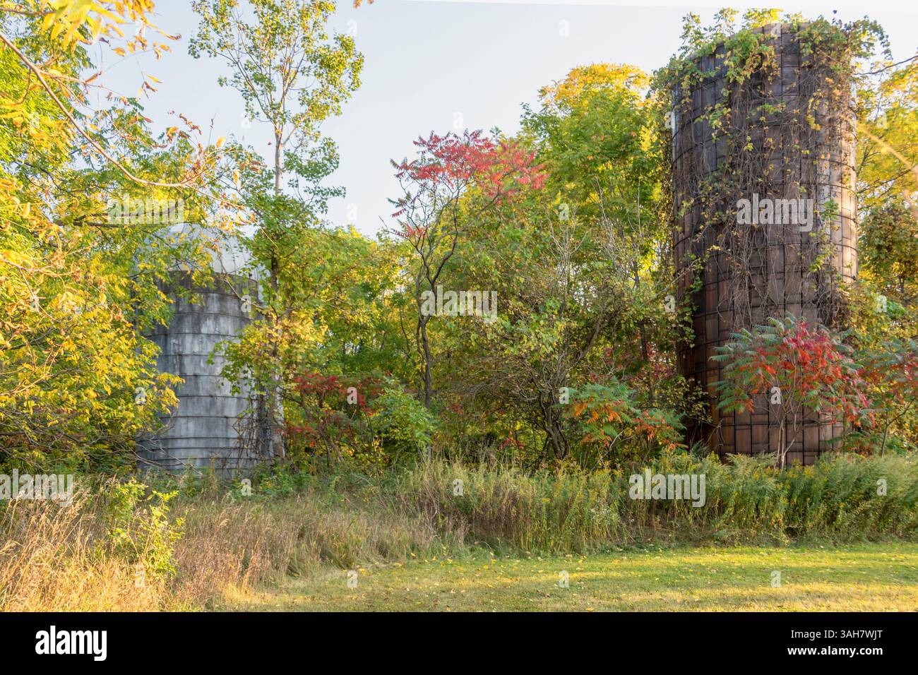 Fall Foliage. Abandoned Concrete and Tile Silos. Ontario County. Victor ...
