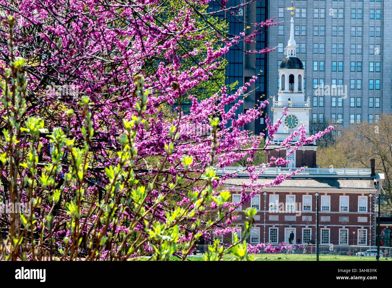 Independence Hall on the mall sits behind flowering trees Tuesday, Apr ...