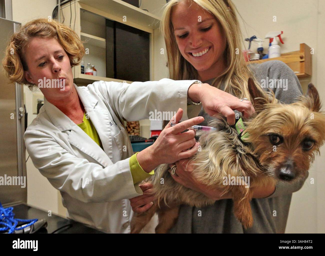 April 15, 2015 - MO, USA - Kelli Fabick of Ellisville holds her mother ...
