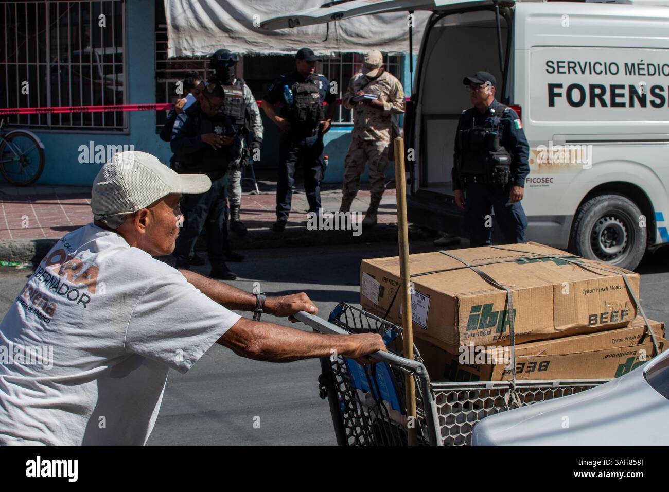 Forensic investigators work at crime scenes in Mexico, documenting ...
