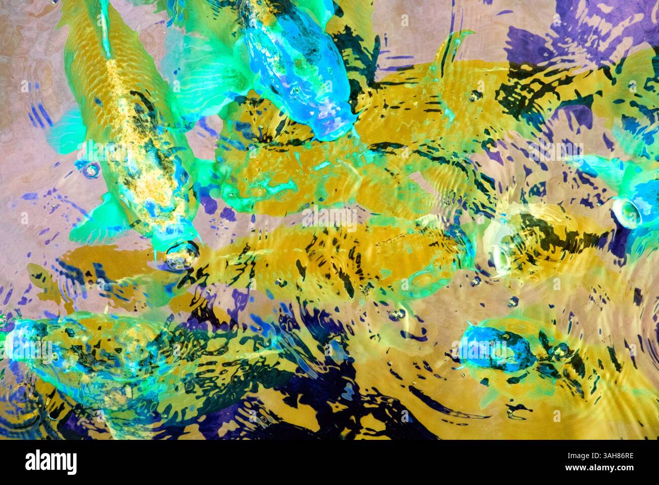 Eye level shot colorful hi-res stock photography and images - Alamy