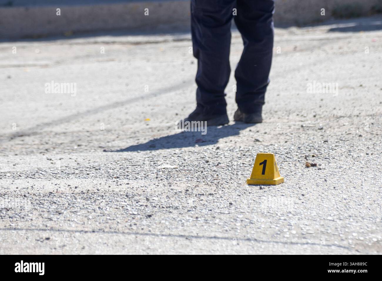 Forensic investigators work at crime scenes in Mexico, documenting ...