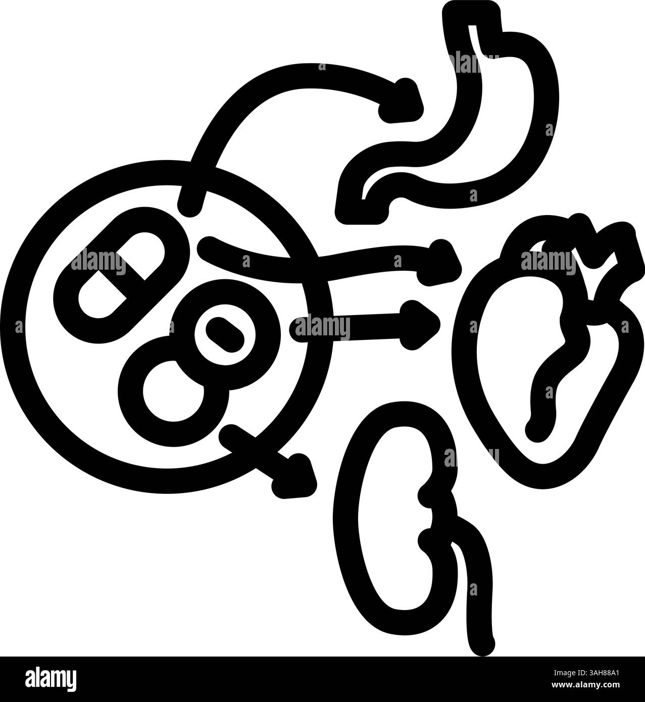 drug interaction pharmacist line icon vector illustration Stock Vector ...