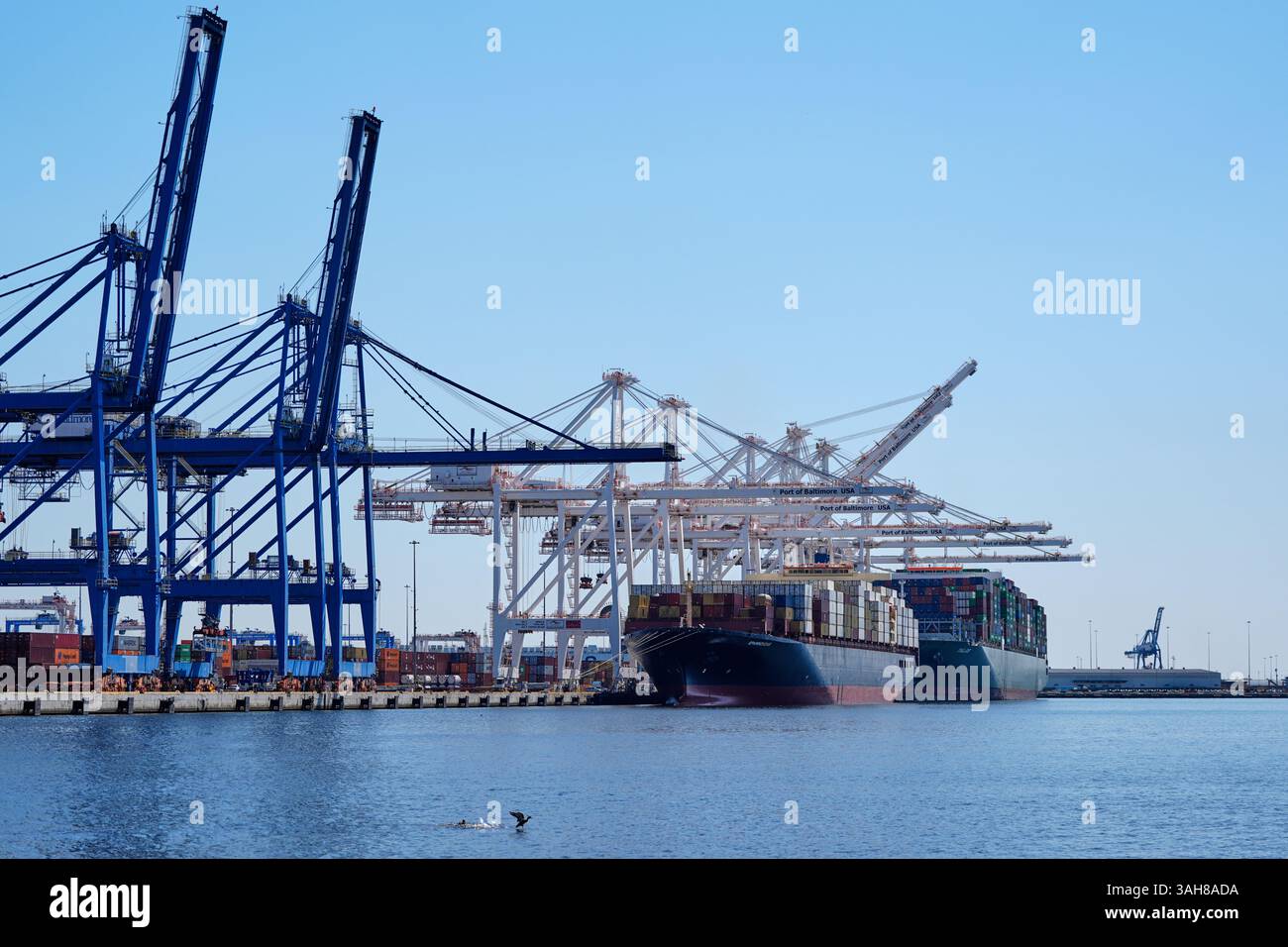 Container ships Epaminondas and Talos are docked at the Port of ...