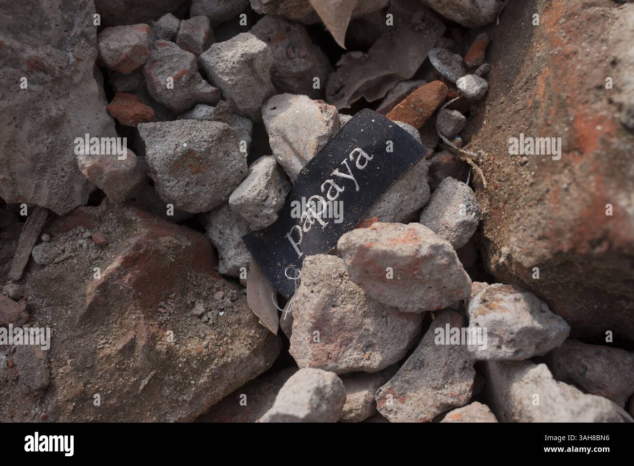 April 20, 2015 - near Dhaka, Bangladesh - A clothes tag lies in the ...