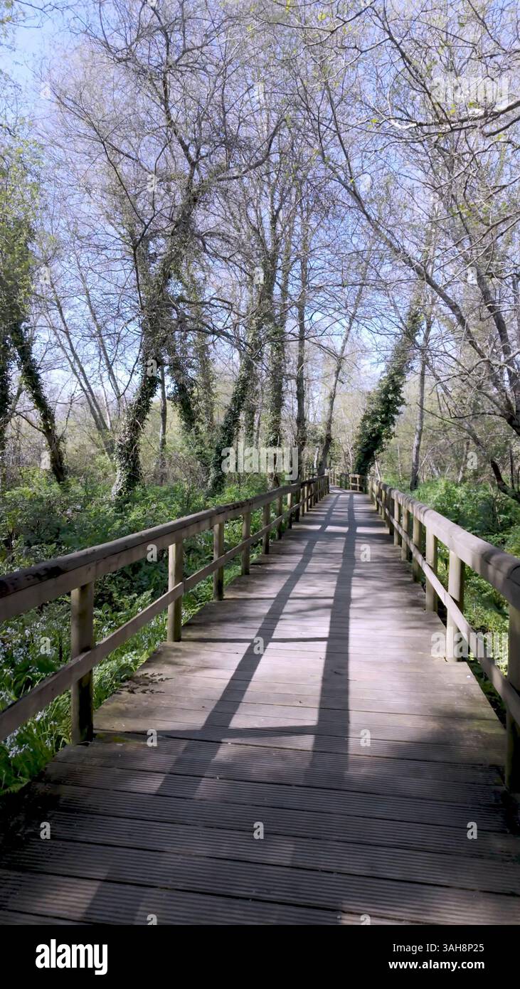 Long wooden boardwalk stretches into the distance at Parque das ...