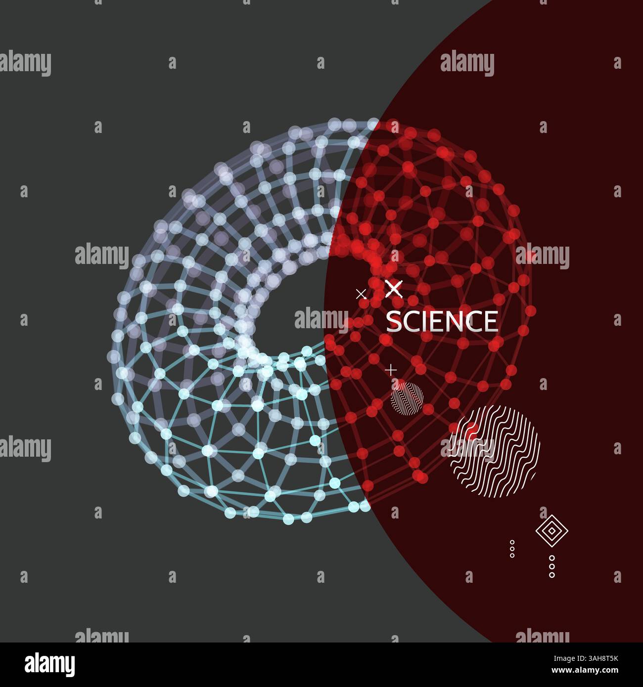 Torus Object With Lines And Dots Molecular Grid Technology Style