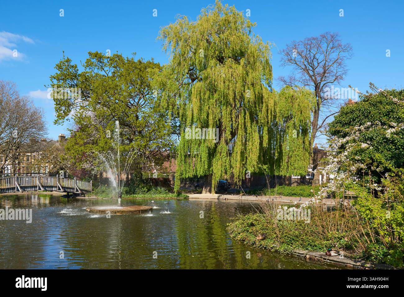 Clapton Pond and gardens in springtime, Lower Clapton, Hackney, London ...