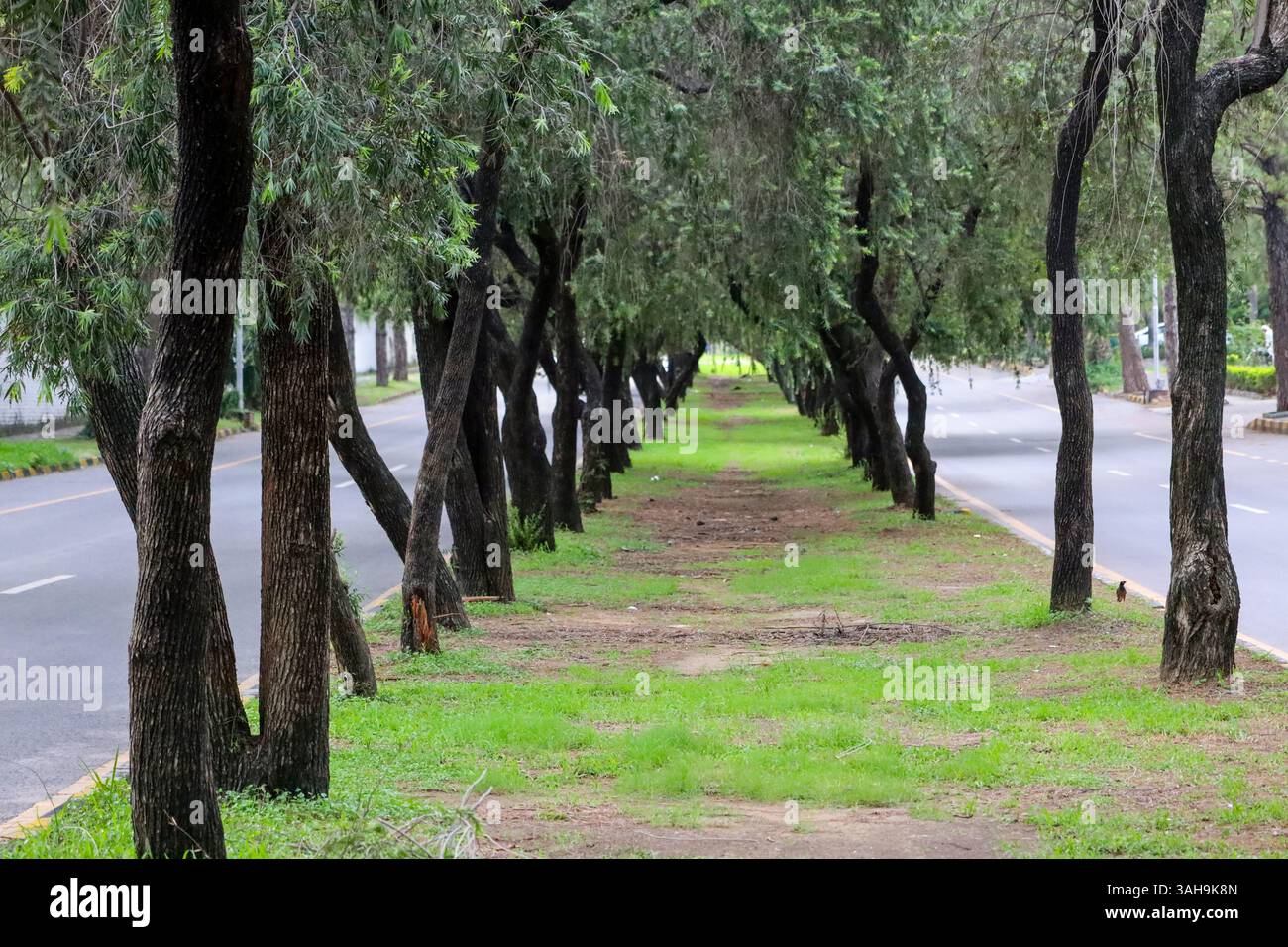 Perfectly aligned: A road in Islamabad Stock Photo - Alamy