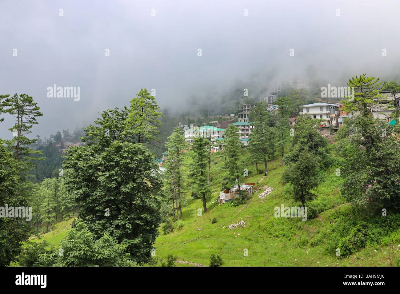 Pine slopes hi-res stock photography and images - Alamy