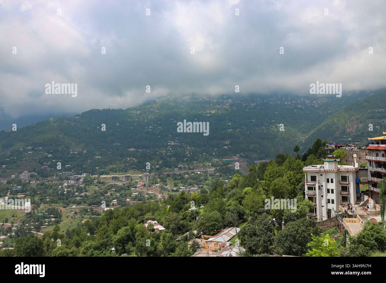 Pine slopes hi-res stock photography and images - Alamy