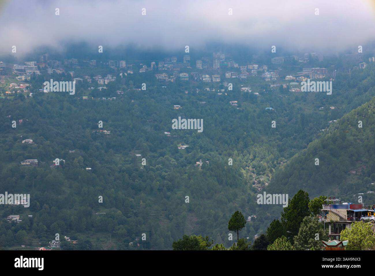 Pine slopes hi-res stock photography and images - Alamy