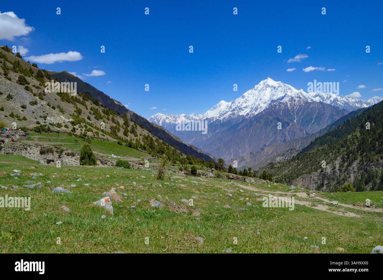 Majestic Rakaposhi Peak in Nagar Valley, Gilgit-Baltistan, Pakistan ...
