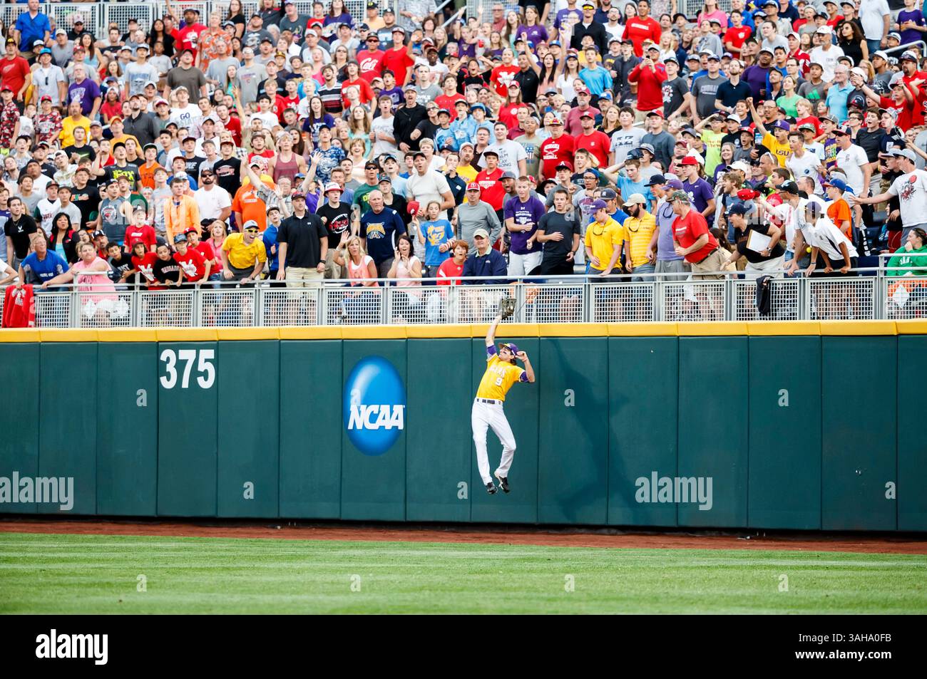 June 18, 2015: LSU right fielder Mark Laird #9 leaps and catches a fly ...