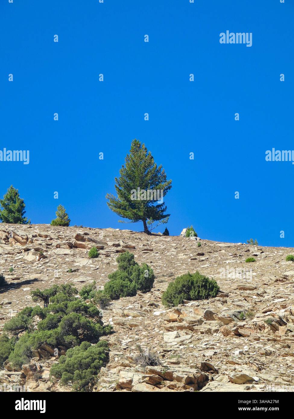 Darail hi-res stock photography and images - Alamy