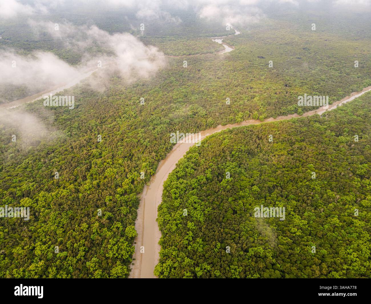 Aerial drone view of the Sundarbans mangrove forest in Khulna ...