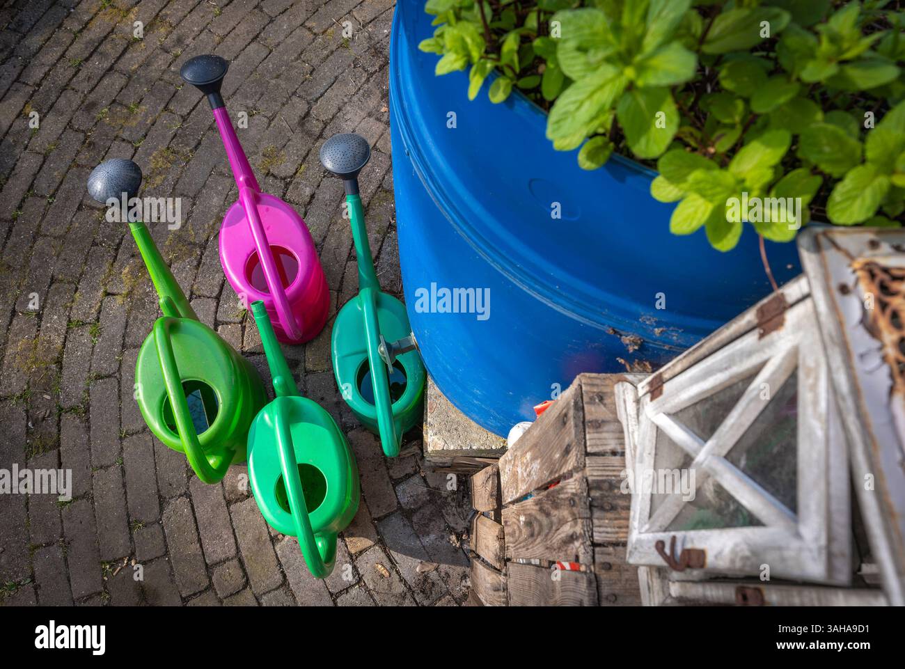 Watering cans in front of Rain barrel, eco friendly rainwater ...