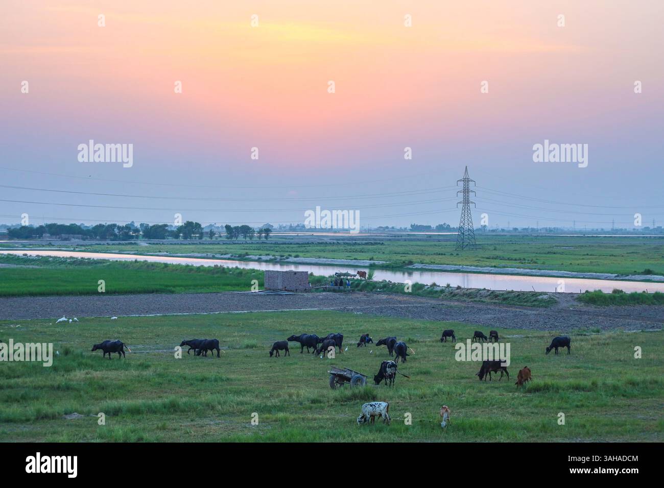 Beautiful sunset over the agricultural region of Punjab, Pakistan Stock ...