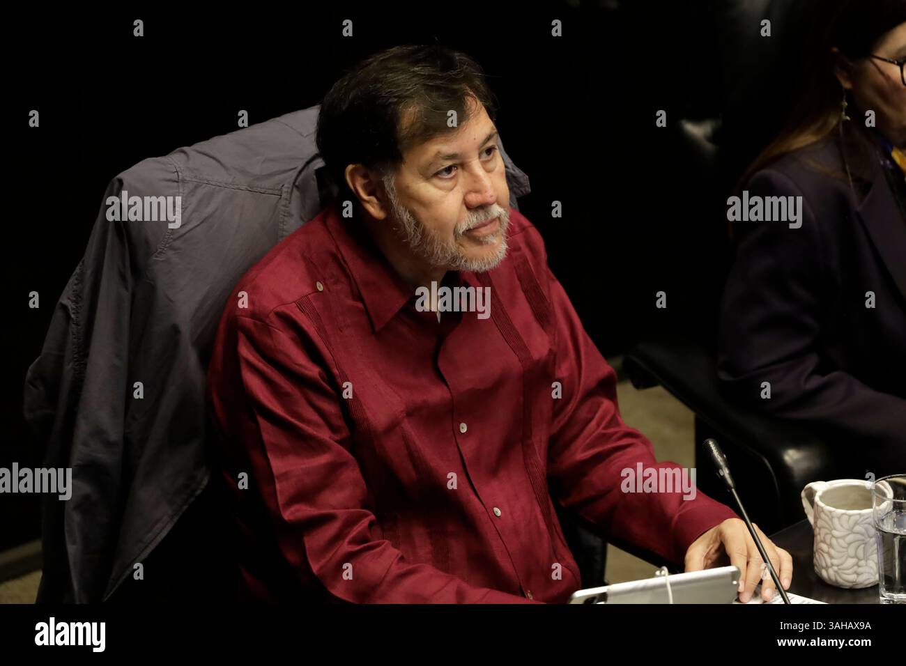 The President of the Senate, Gerardo Fernandez NoroÃ±a speaks during ...