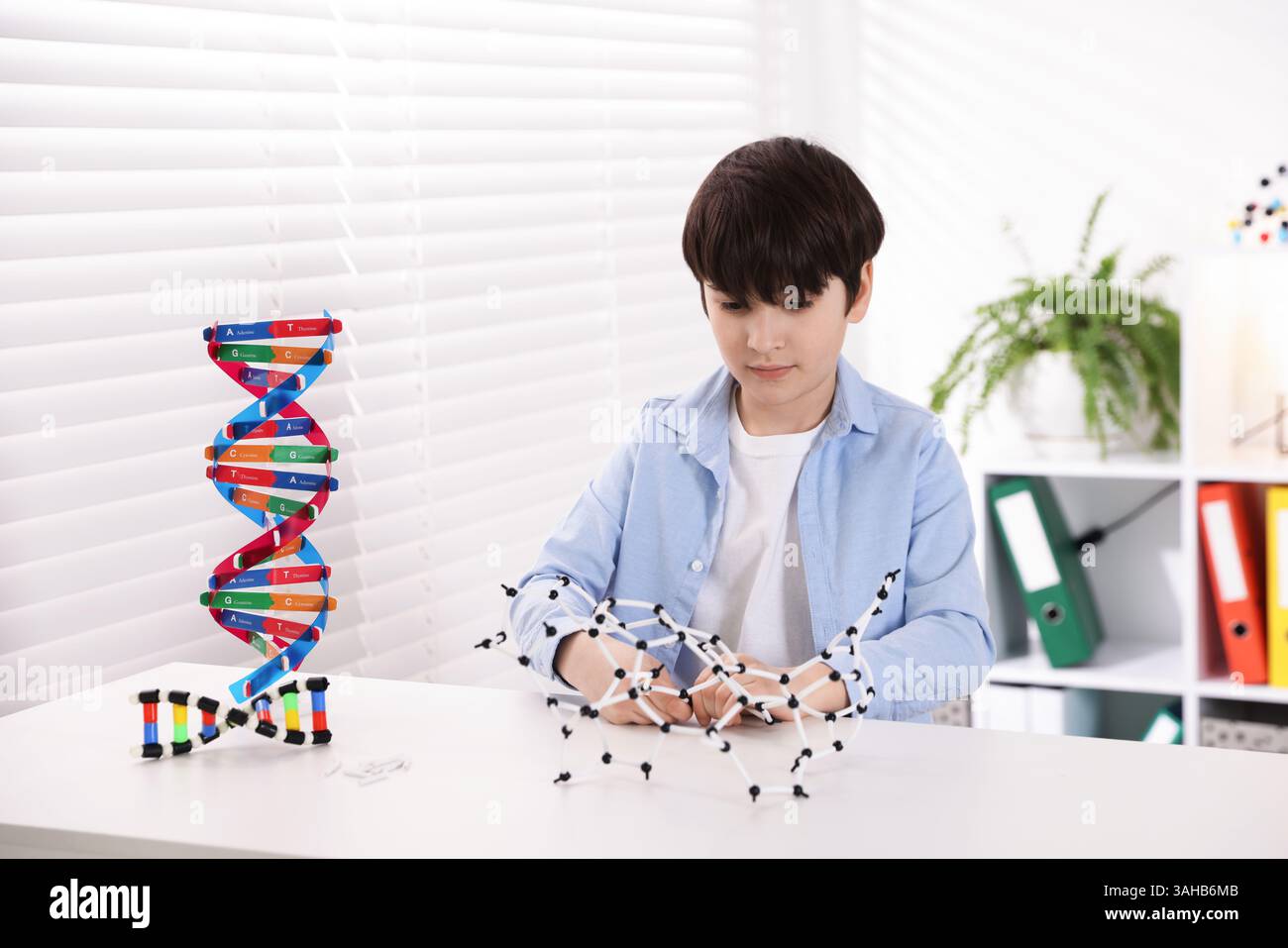 Boy making DNA structure model at desk indoors Stock Photo - Alamy