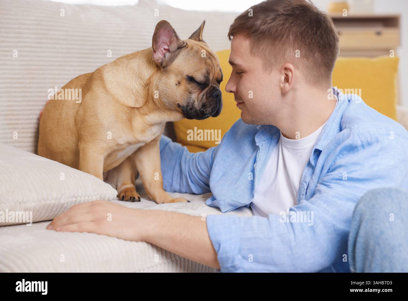 Adorable French bulldog dog and his owner at home Stock Photo - Alamy