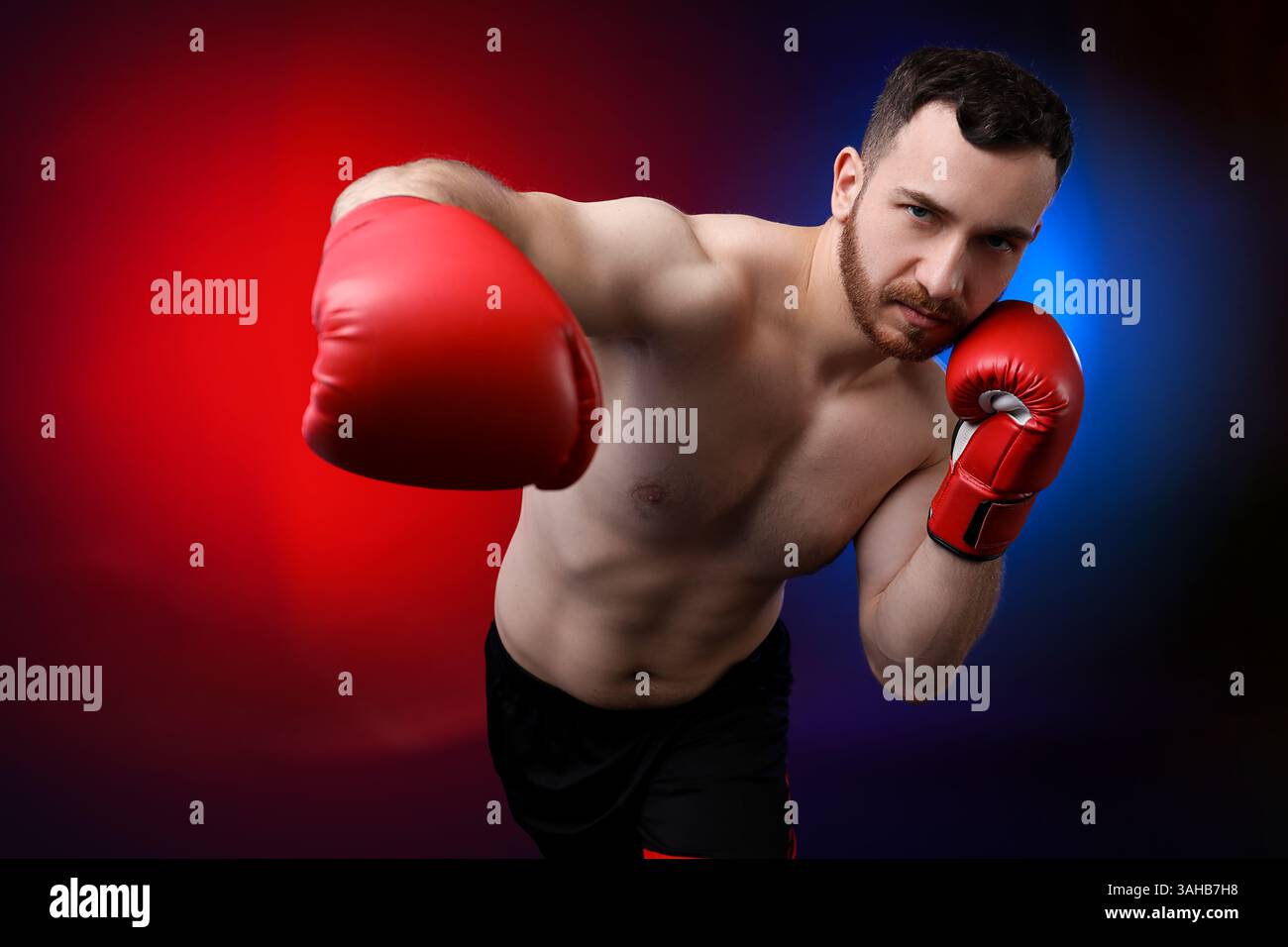 Man with boxing gloves fighting on dark background in neon lights Stock ...