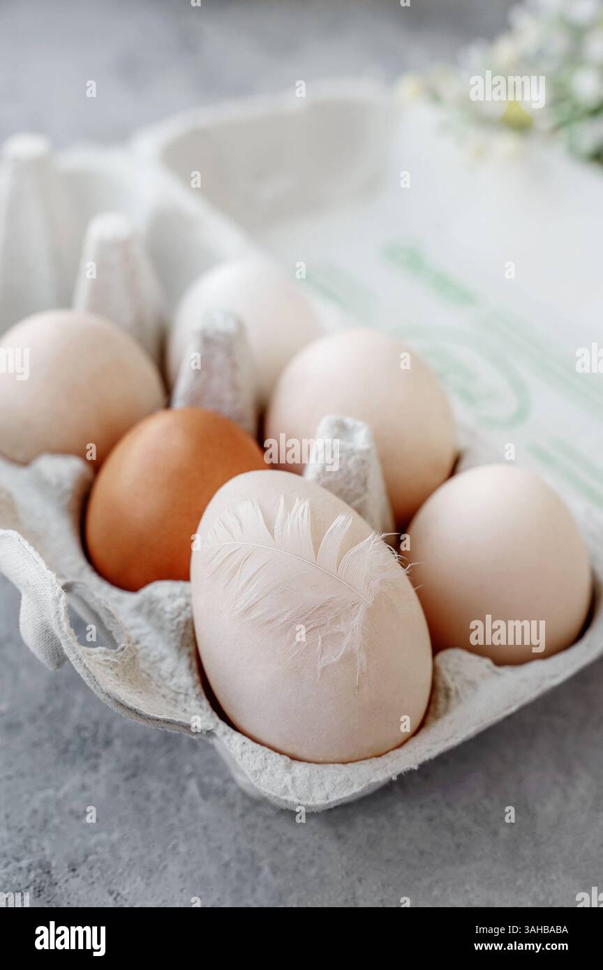 A carton holding six eggs with varying shades of shells, including one ...